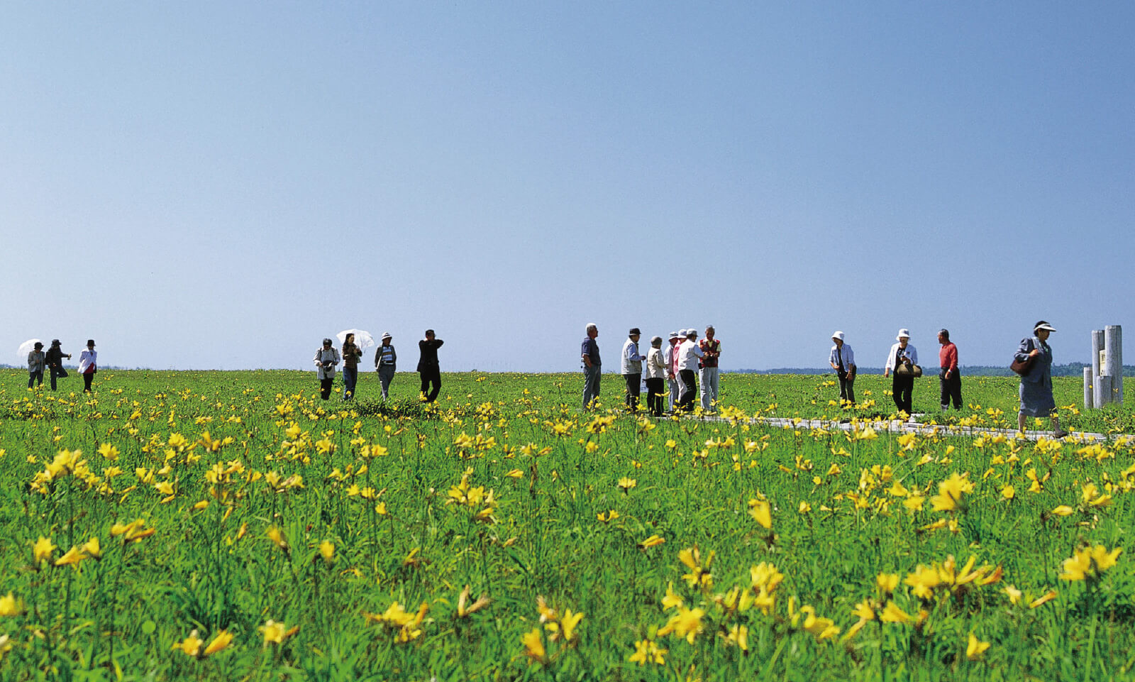 Get up close to nature at Rishiri-Rebun-Sarobetsu National Park. – The ...